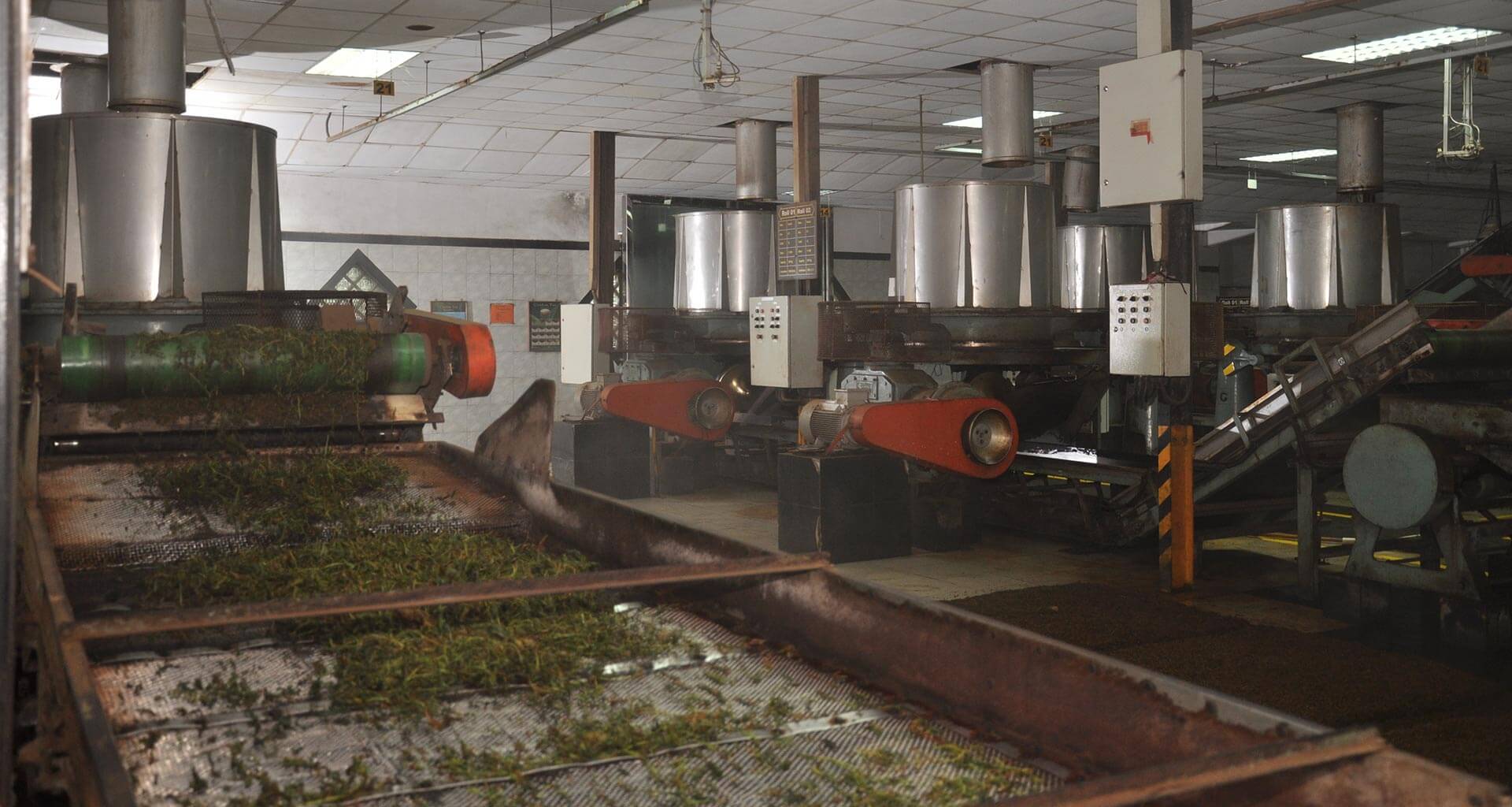 Tea Factories | KDU Group